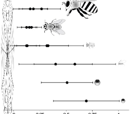蜘蛛網對帶電昆蟲的反應 (Webs React to Electrically Charged Insects) | 仿生科技產業化資料庫